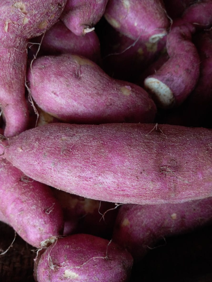 El Misterio de las Patatas Moradas ~ "Entre Sabores y Recuerdos: Un ...